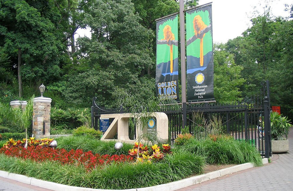 Media Release: NCPC Postpones National Zoo Perimeter Fence Review